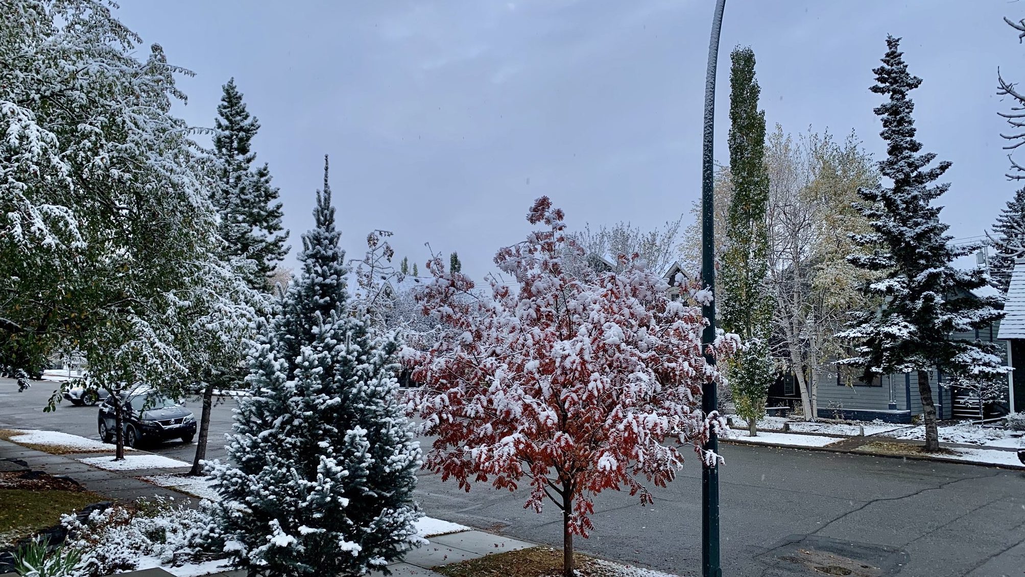 Heavy snow, freezing temperatures hitting southern Alberta this weekend