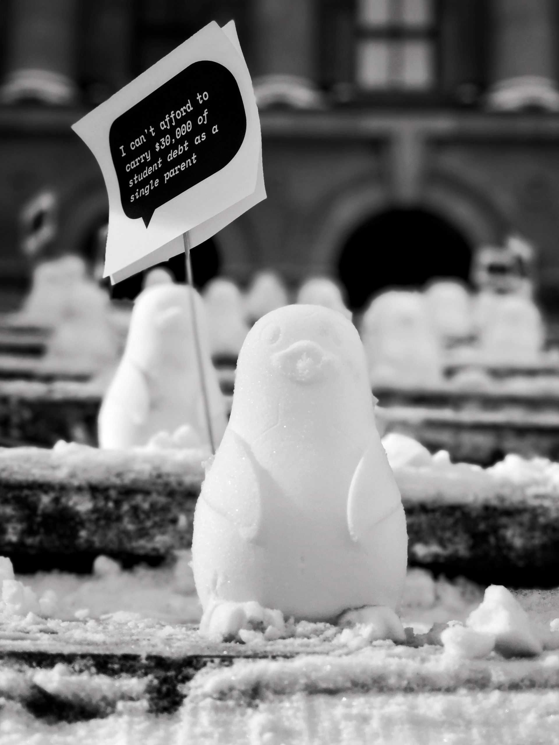 Penguins protest: Calgary students set up display in fight against ...