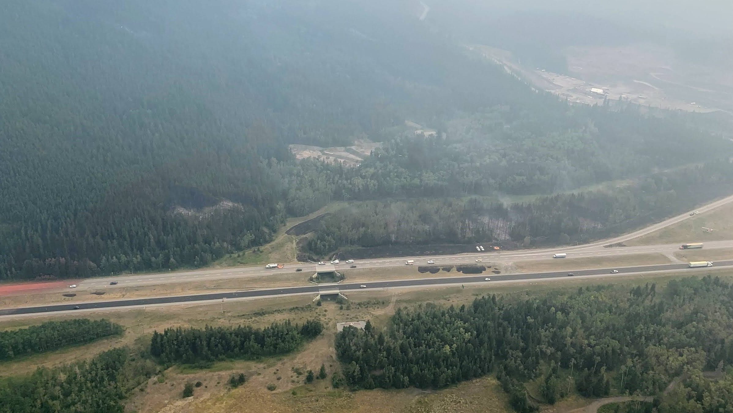 Wildfire west of Calgary 'held', not expected to grow | CityNews Calgary