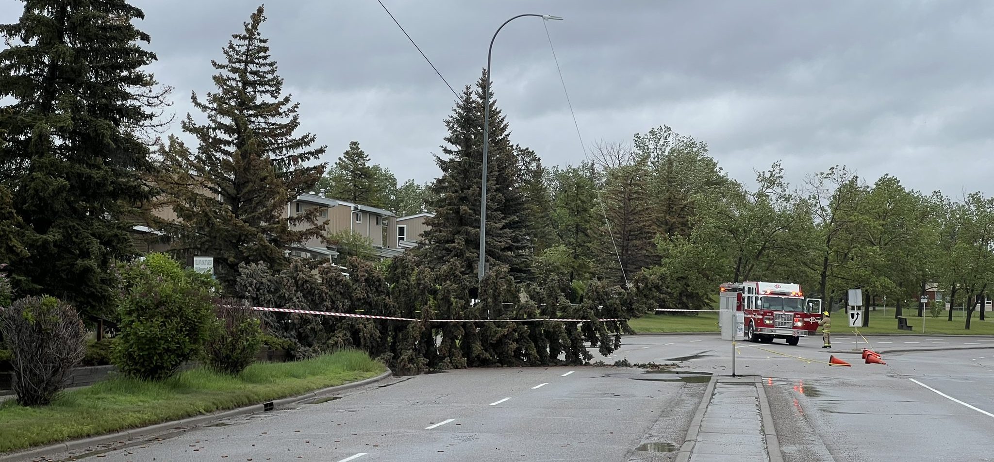 Calgary wind warning issued, trees knocked down | CityNews Calgary