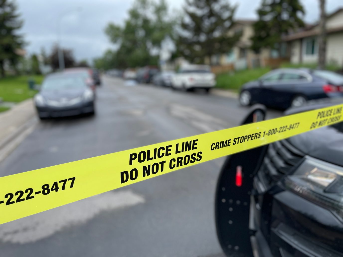 Calgary crime: Woman's body found - CityNews Calgary