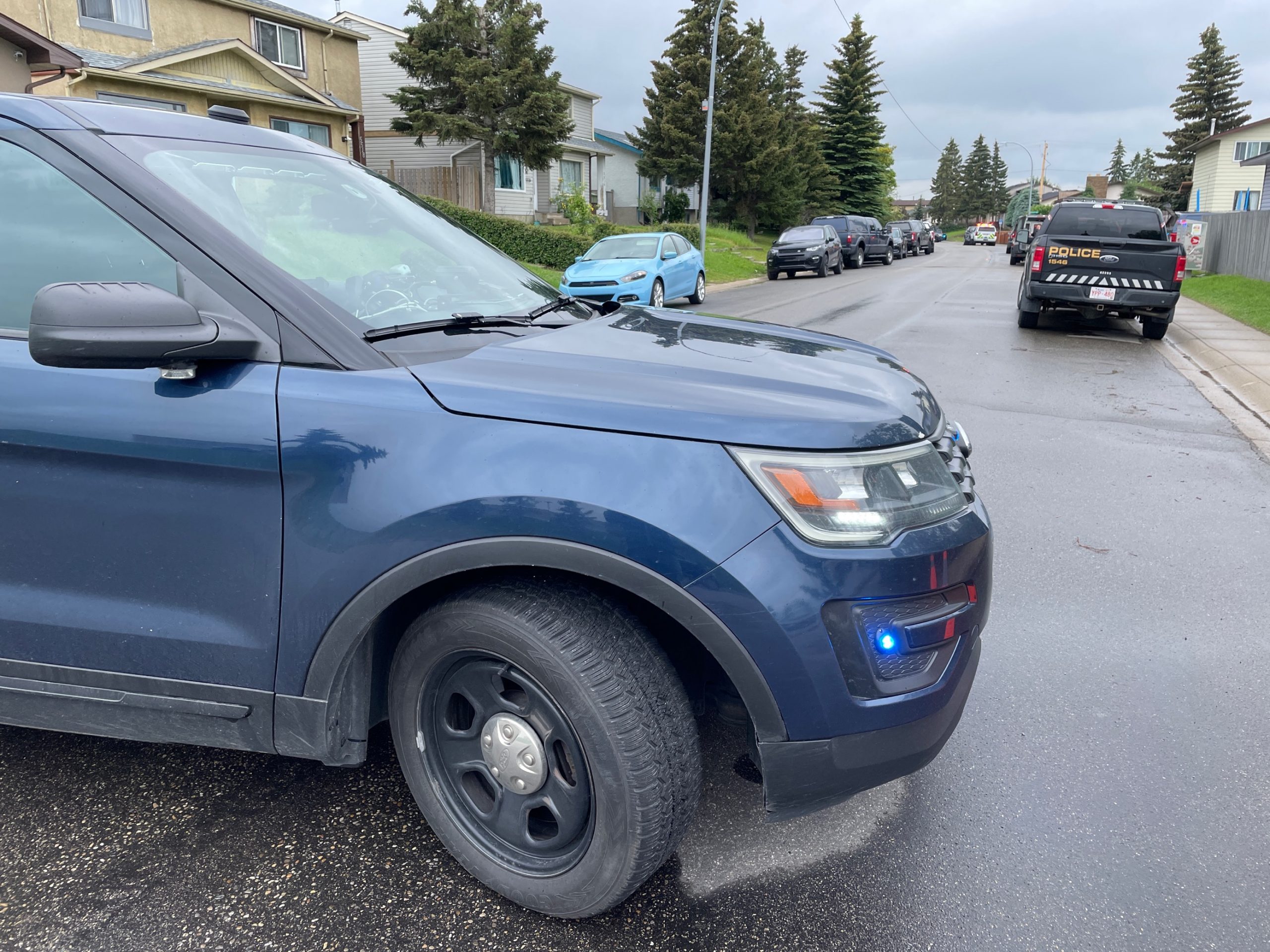 One dead after shooting in Calgary's northeast - CityNews Calgary