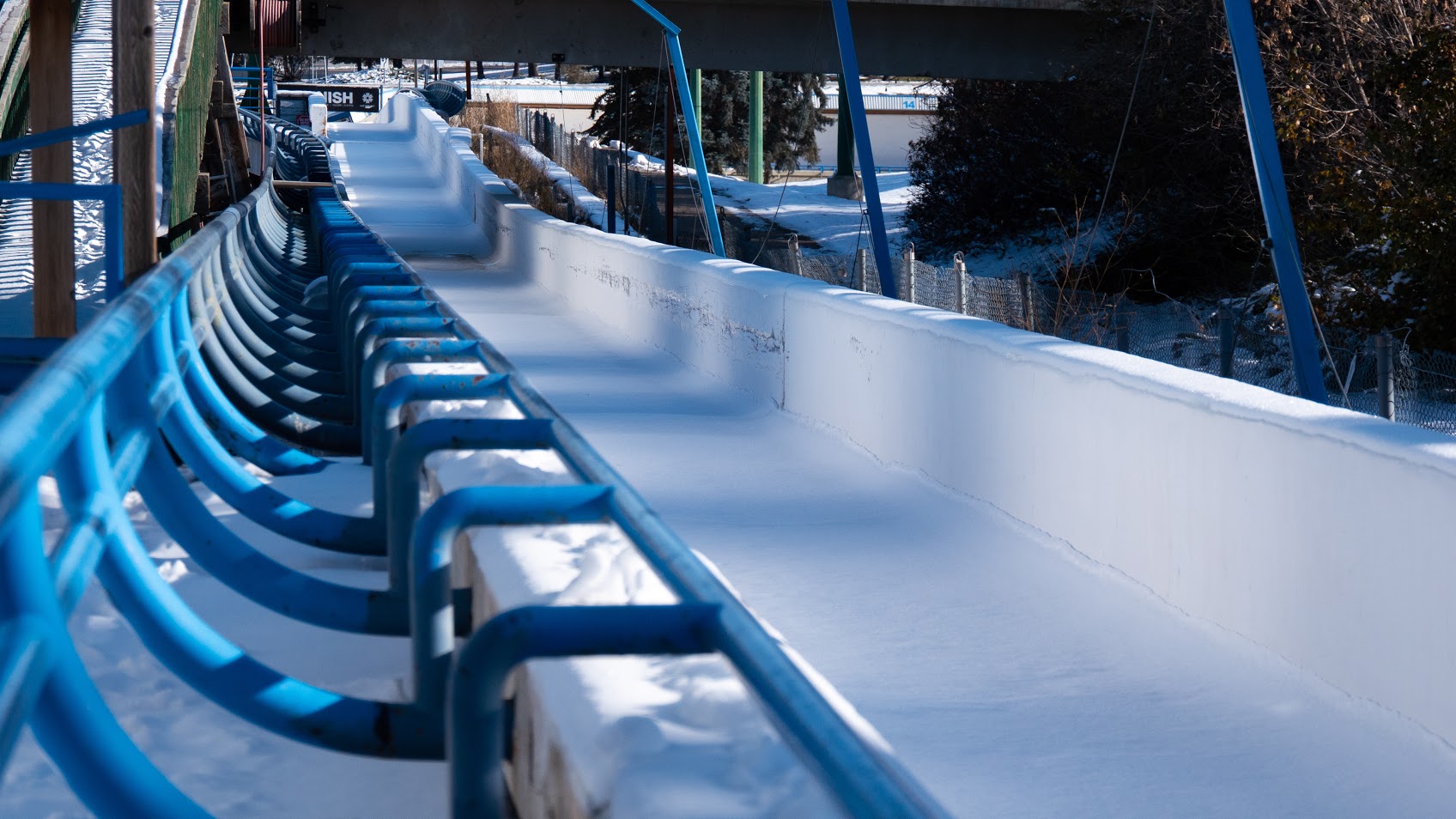 CEO Storey walks out of bobsled/skeleton AGM - CityNews Calgary