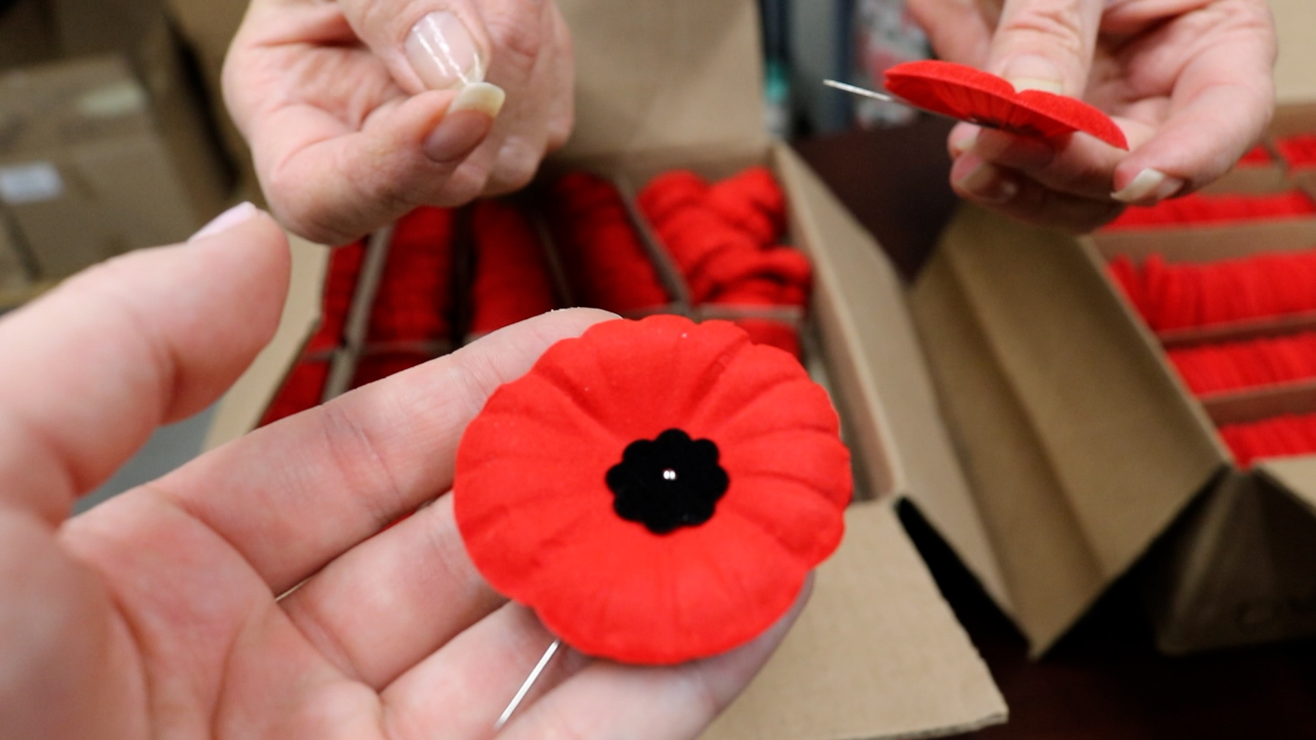 Royal Canadian Legion launches evolved poppy campaign | CityNews Calgary