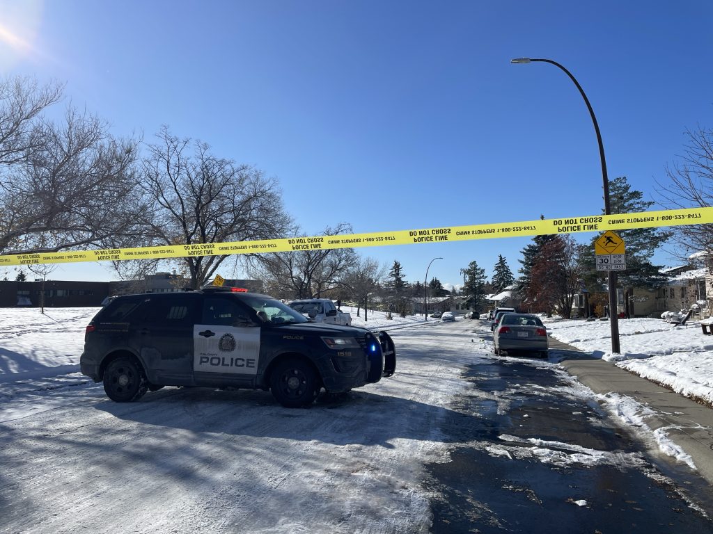 Calgary police seek Pineridge incident CCTV | CityNews Calgary