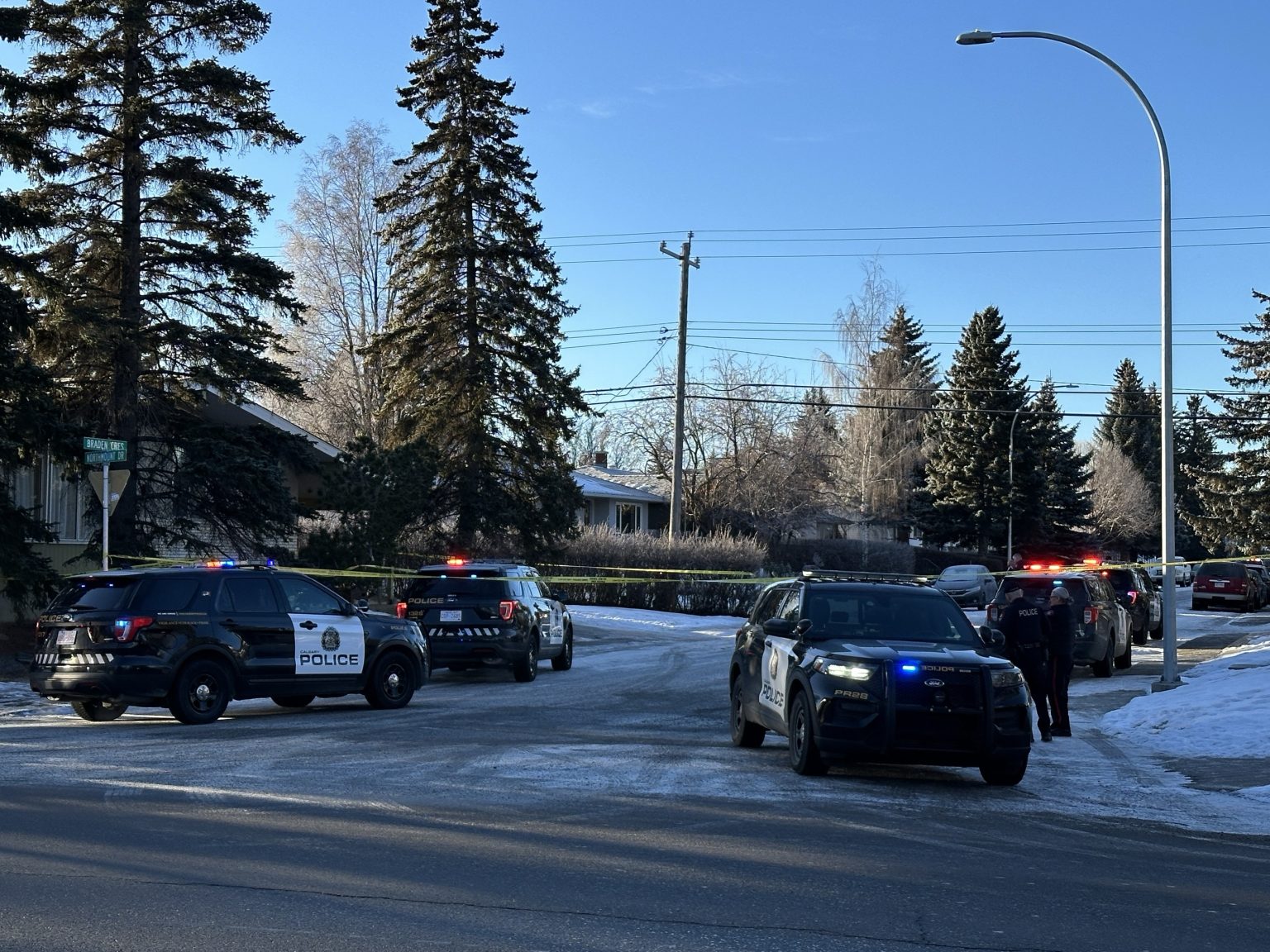 Local News | Latest Updates and Breaking Headlines | CityNews Calgary