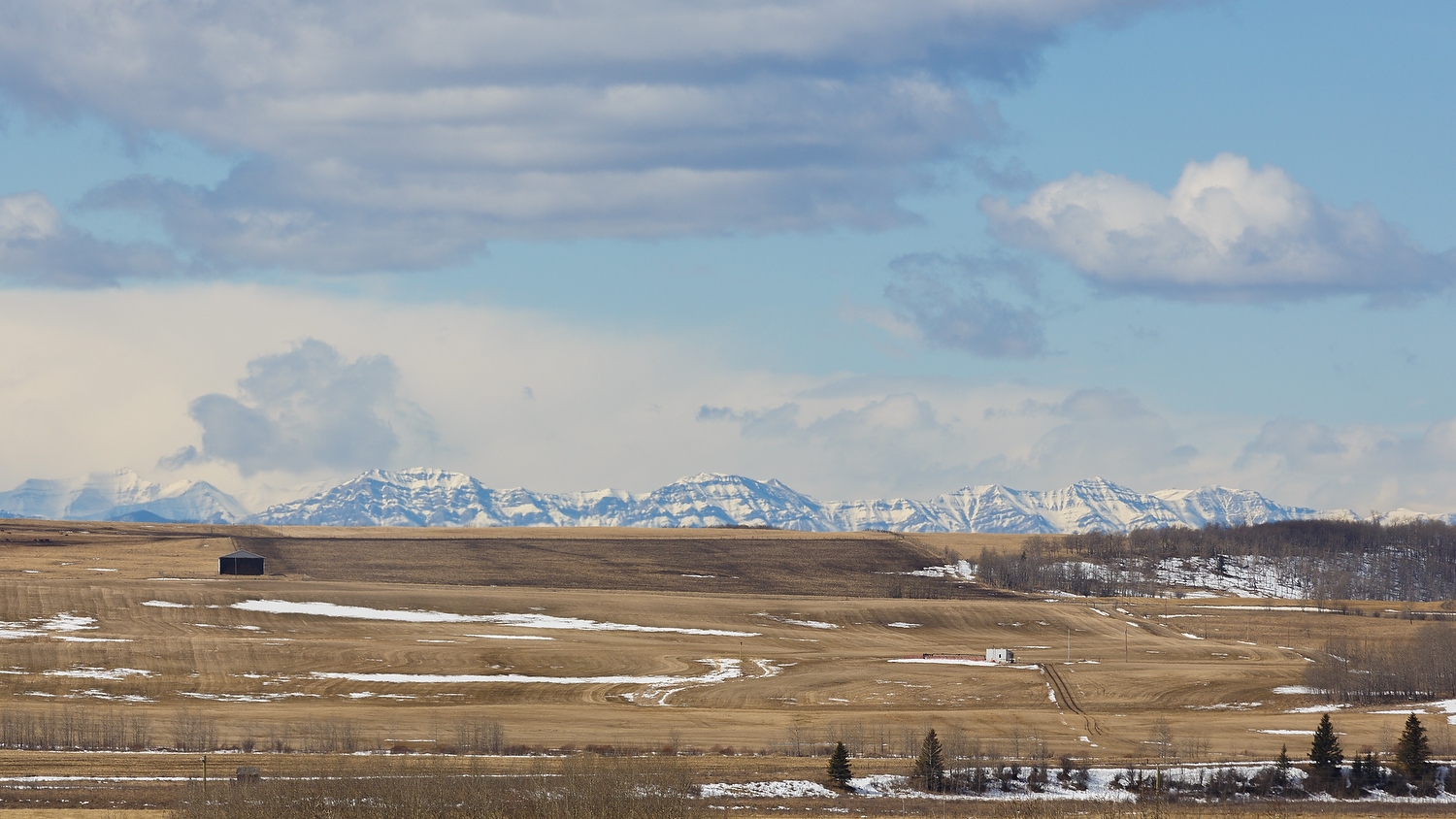 Alberta weather: 'agricultural disaster' on the horizon, expert warns ...