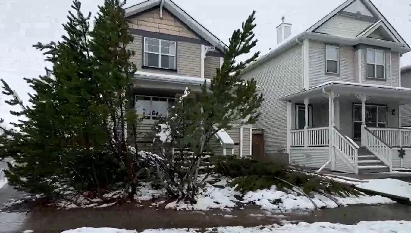Spring storm in Calgary brings downed trees, power outages