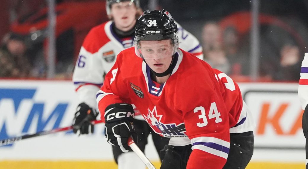 Calgary Flames select left wing Andrew Basha 41st overall