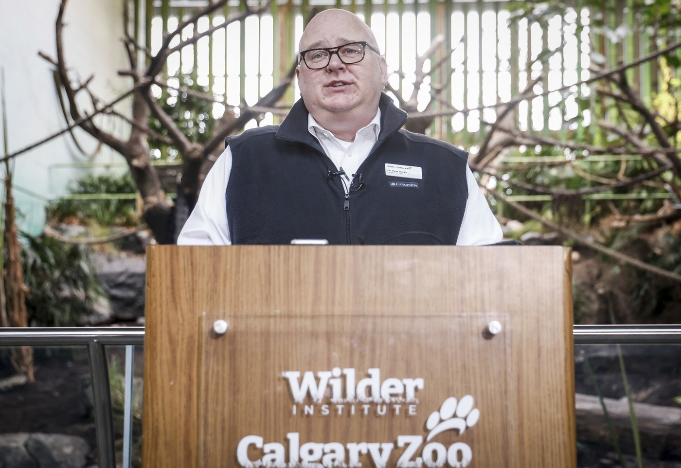 New Calgary zoo boss promises 'exceptional care' for animal safety ...