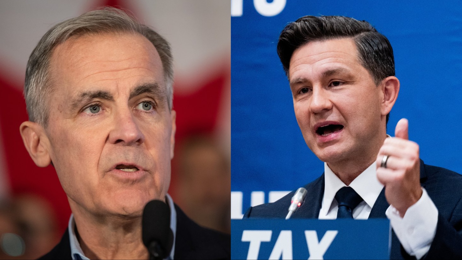 Alberta prefers Conservatives over Liberals: CityNews-Leger poll