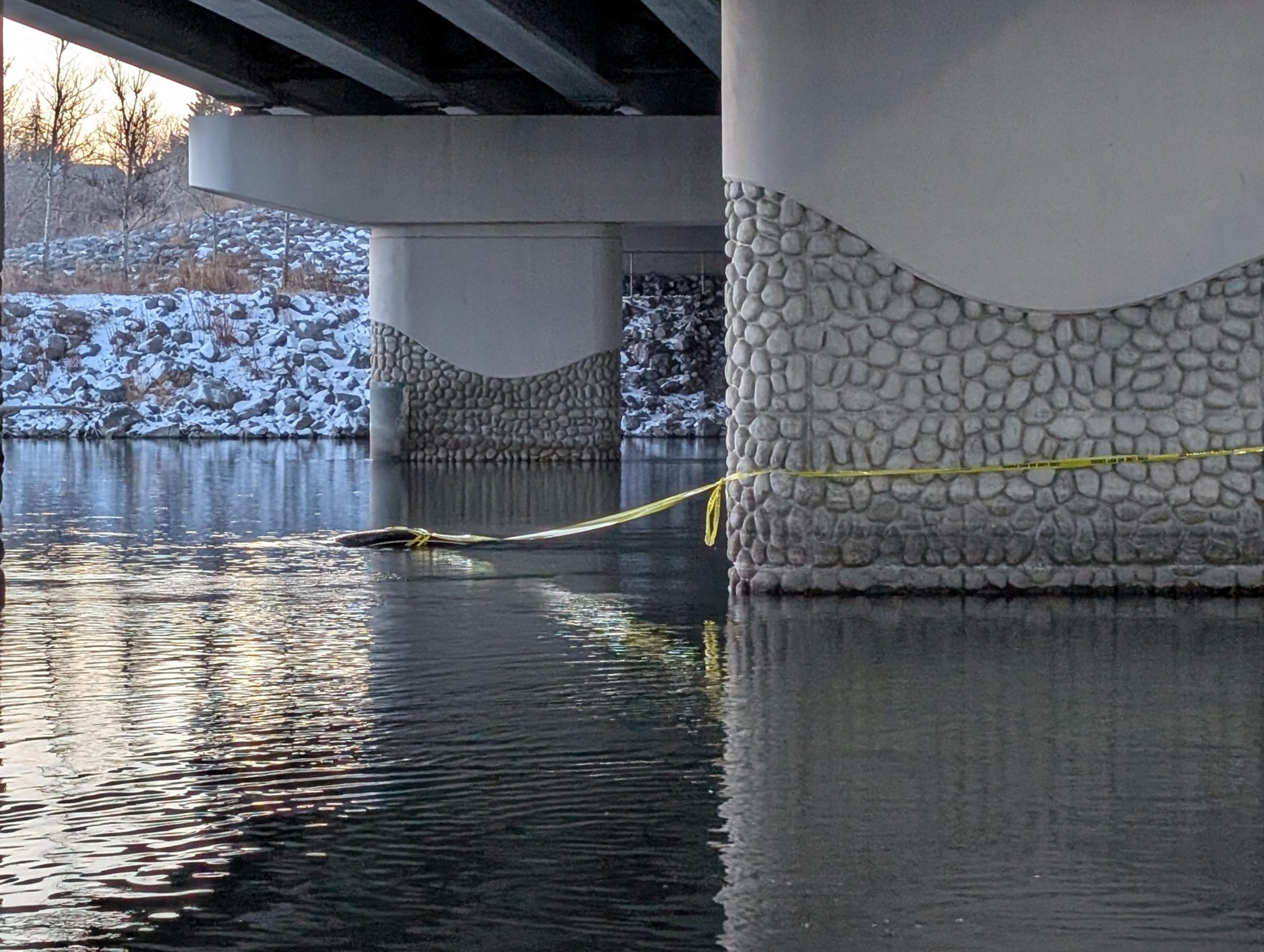 Tesla pulled from Calgary's Bow River, police investigating