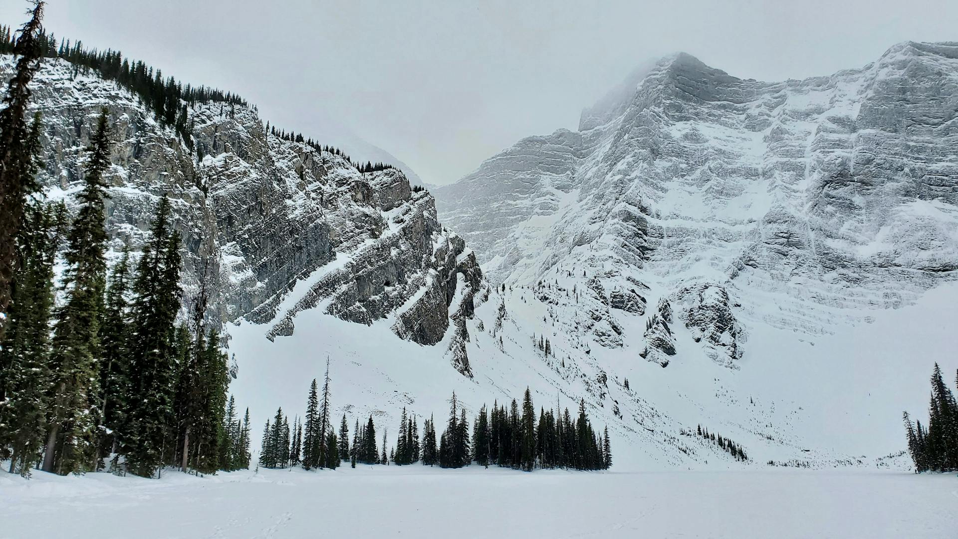 Calgary's Haskayne Legacy Park opening Sept. 16 | CityNews Calgary