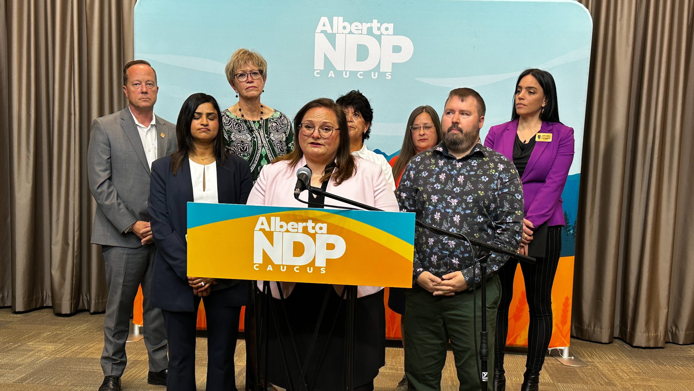 NDP, healthcare groups say UCP government trying to destroy public ...