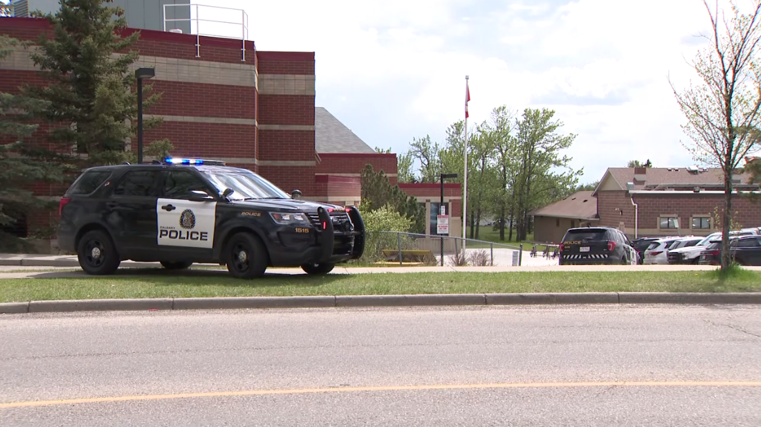 One in custody after person with BB gun spotted near NE Calgary school ...