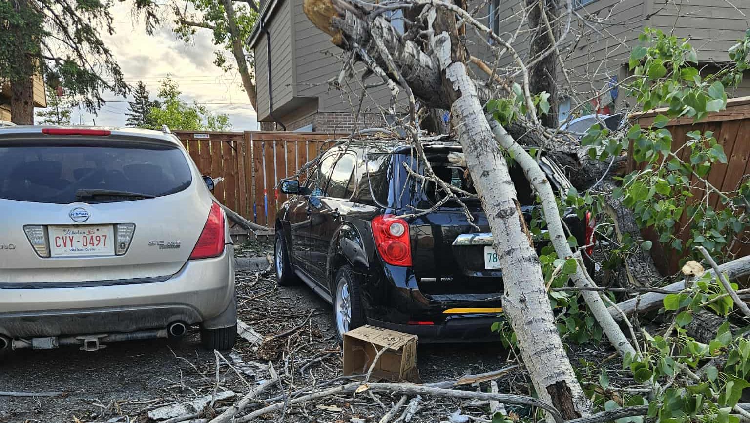 Destructive windstorm leaves damage for NW Calgary residents