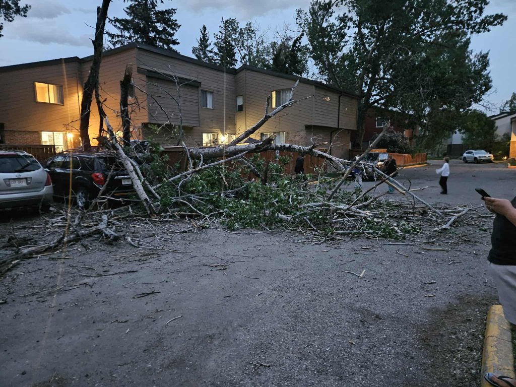 Destructive windstorm leaves damage for NW Calgary residents
