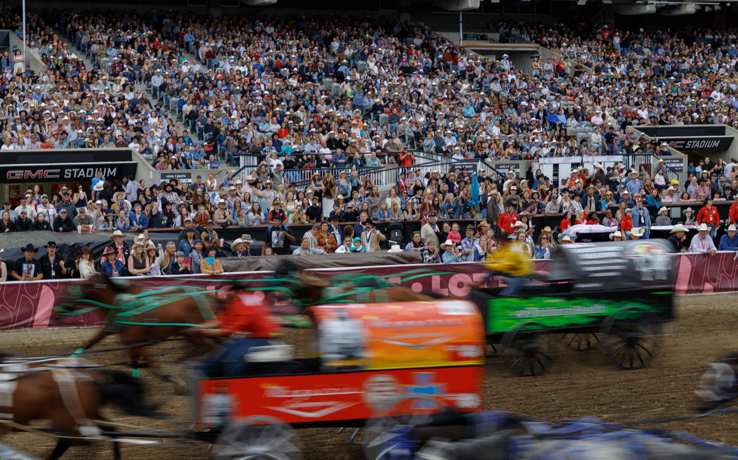 Horse euthanized on Day 9 of Stampede Rangeland Derby