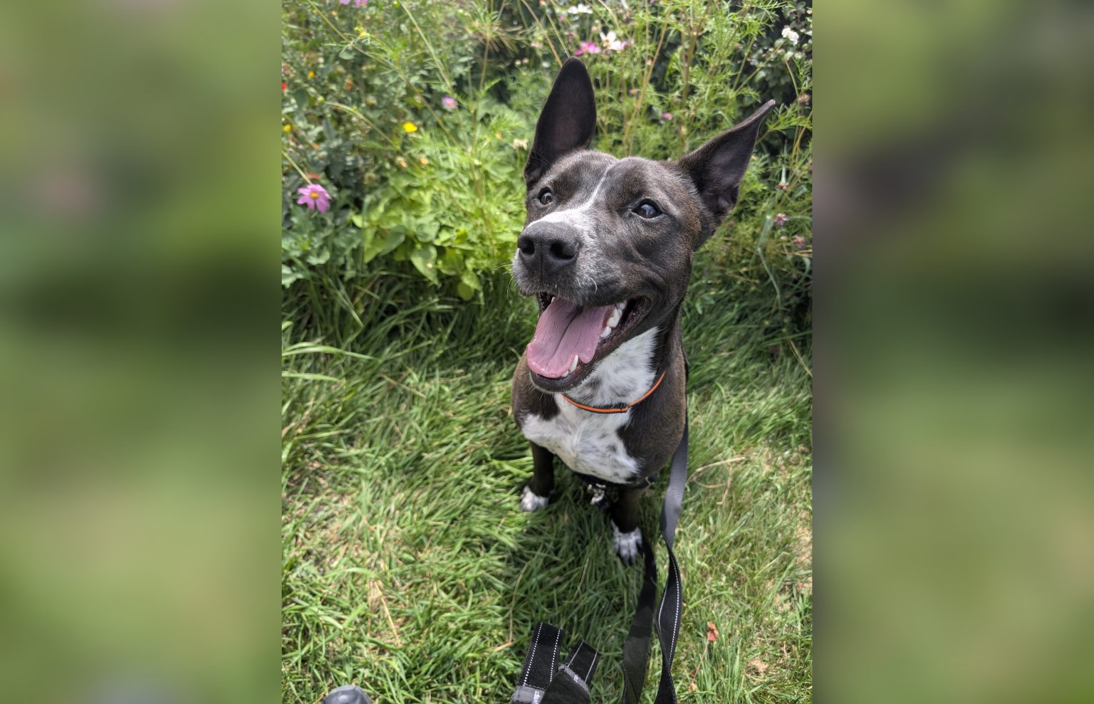 Calgary man arrested following Snapchat 'catch a predator' scheme in ...