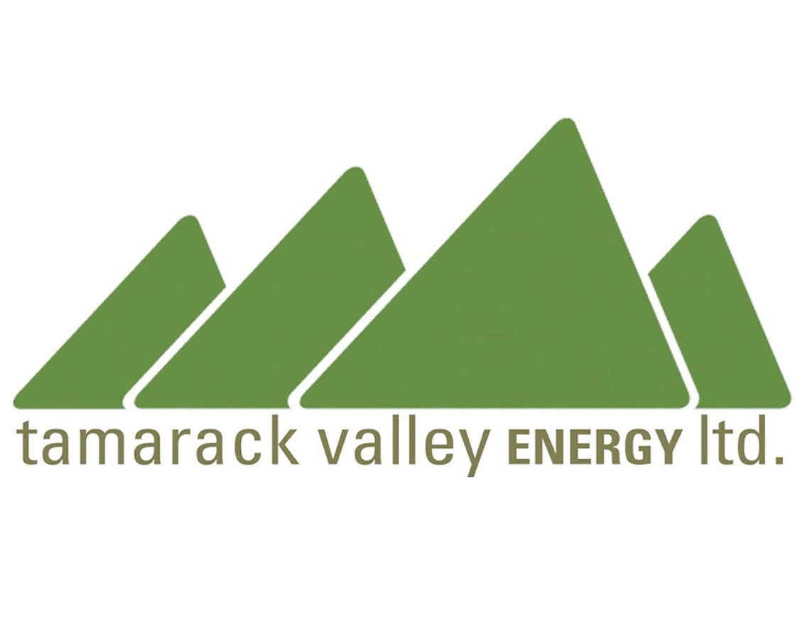 Tamarack Valley Energy selling non-core assets in eastern Alberta for ...