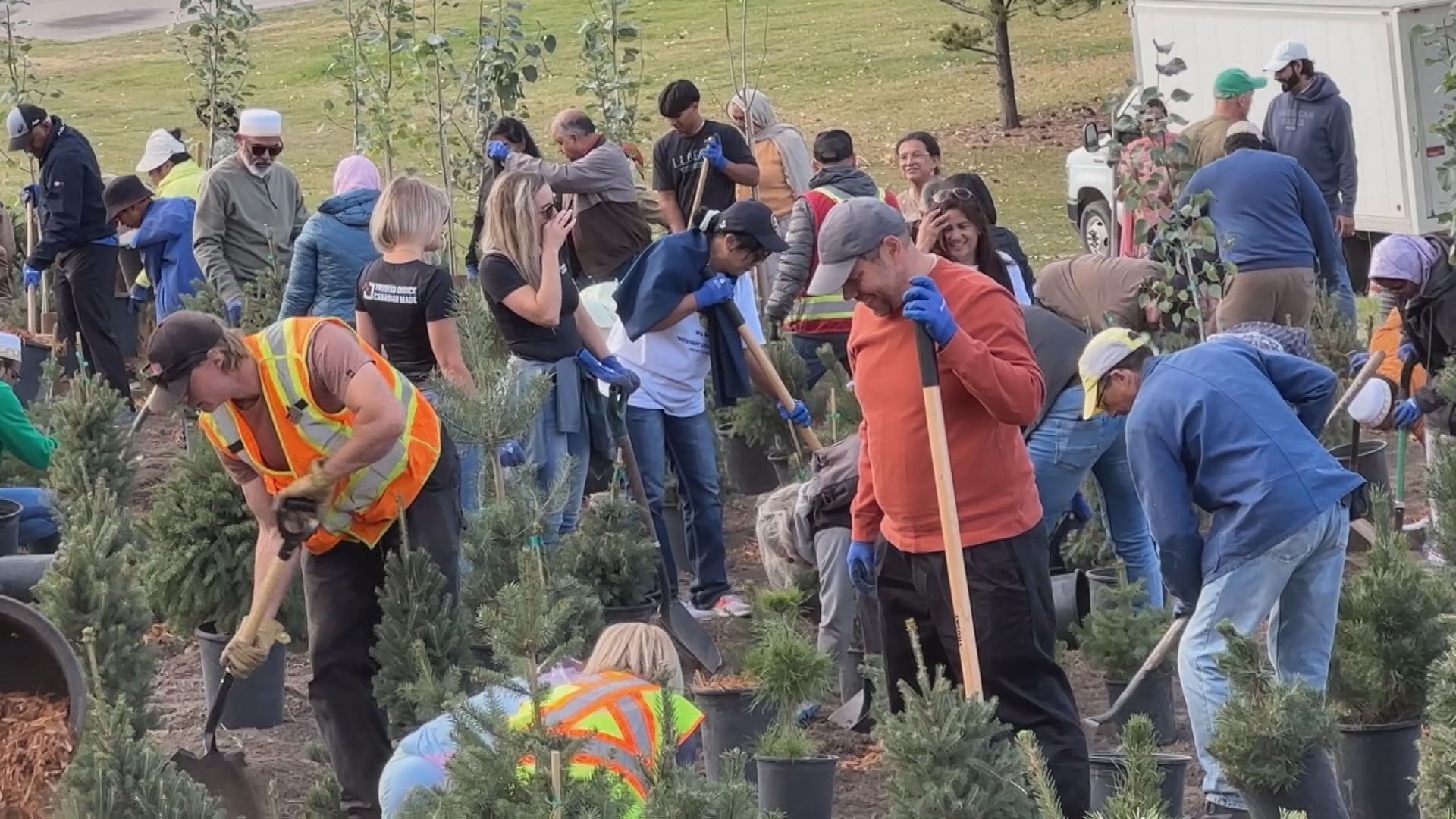 400 trees planted for National Tree Day in Calgary