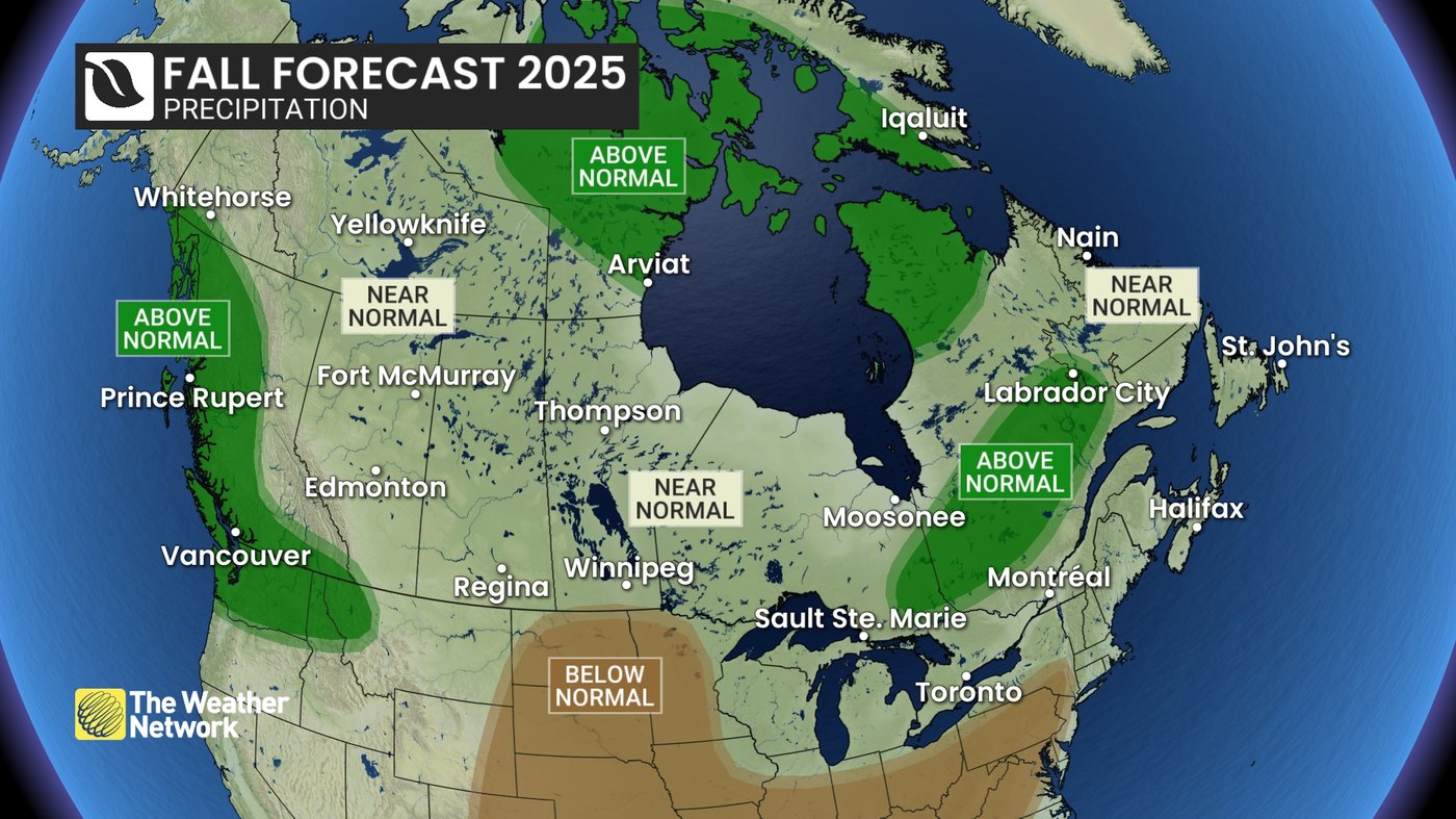 Calgary Weather Forecast - CityNews Calgary