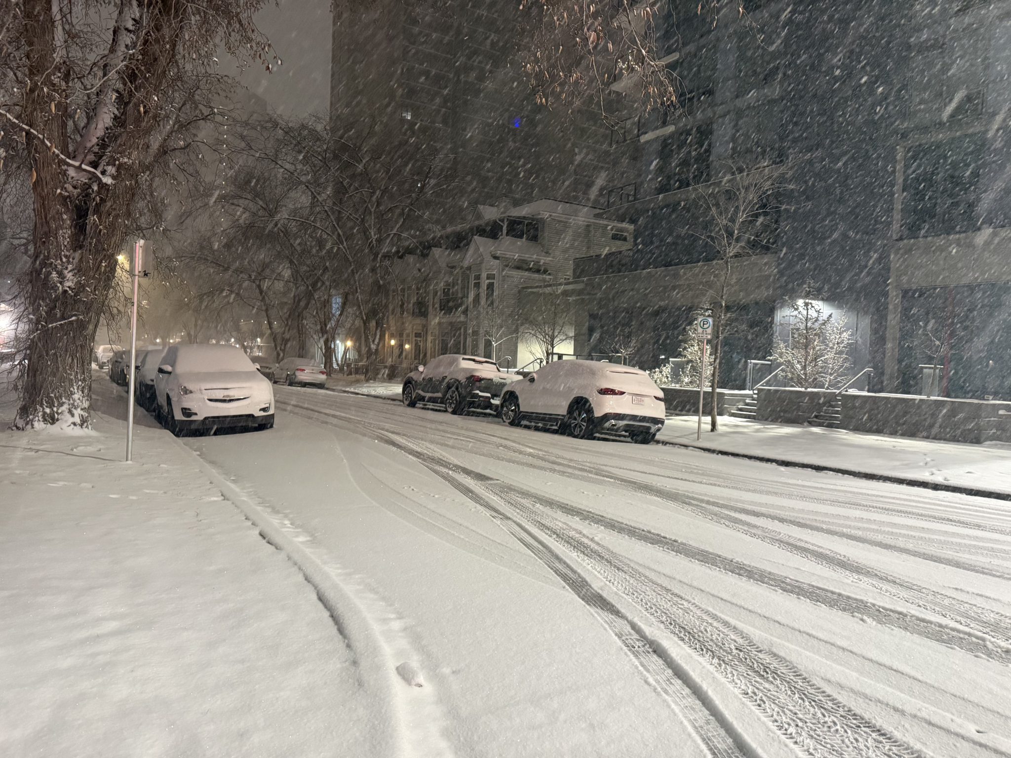 Snowfall blankets Calgary, up to 10 cm expected: ECCC