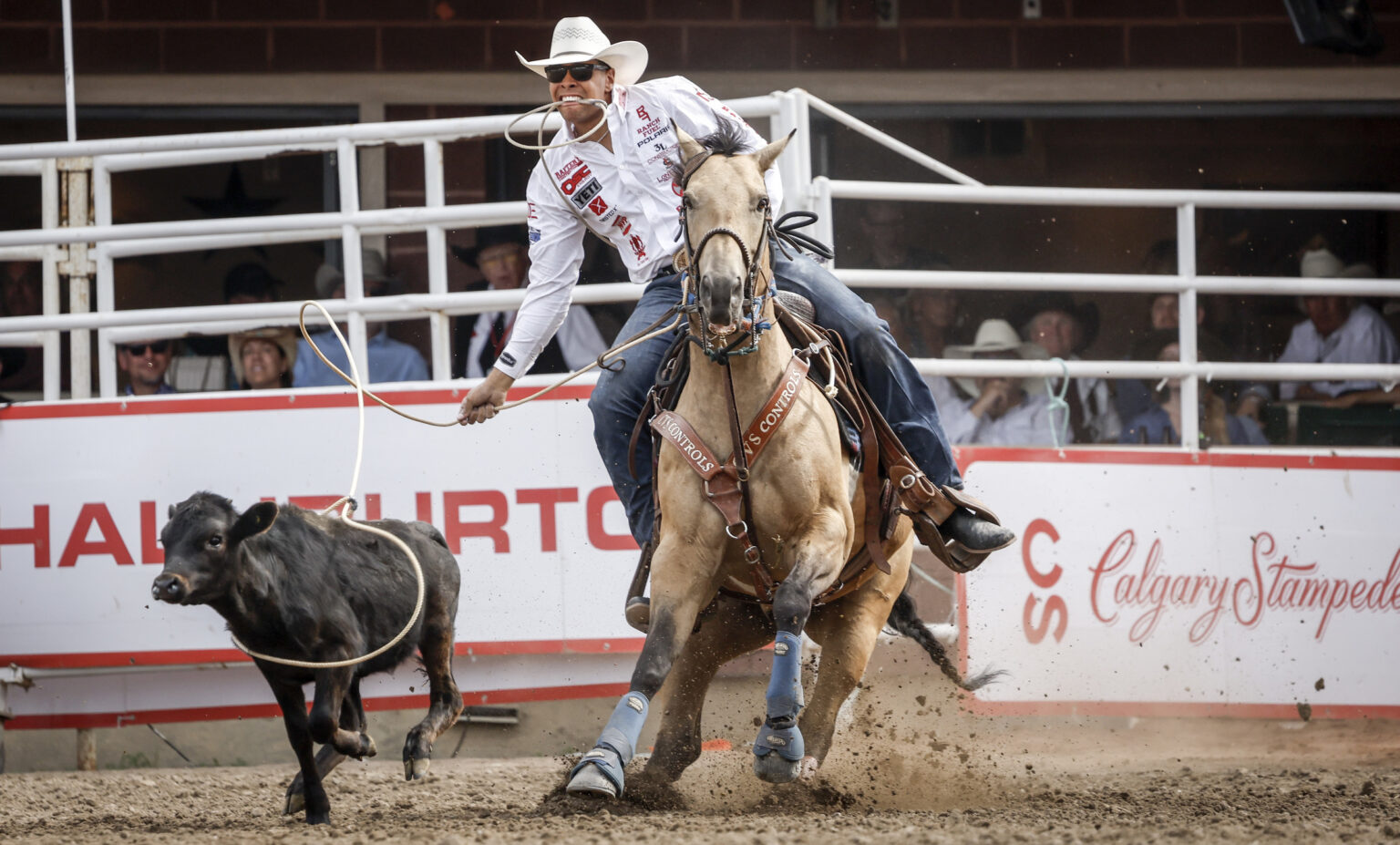 Screwworm ban could see changes at Calgary Stampede Rodeo
