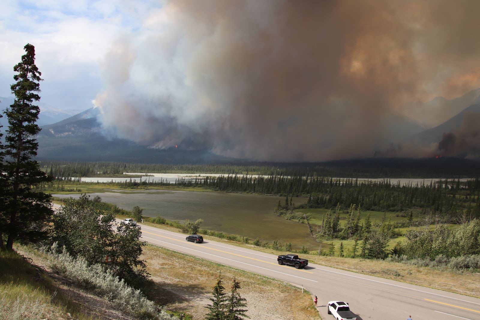 Chetamon wildfire not likely to grow significantly: Parks Canada ...