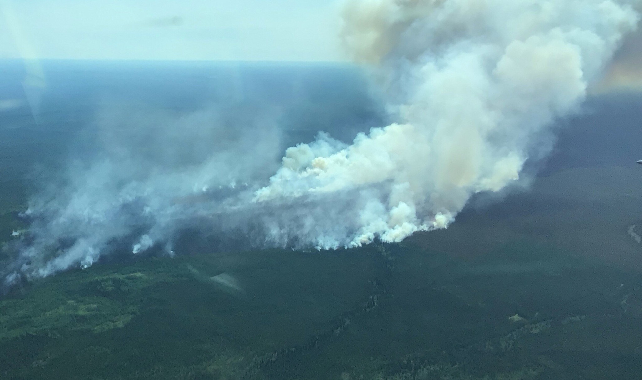 Fire ban in place for entire Forest Protection Area in Alberta