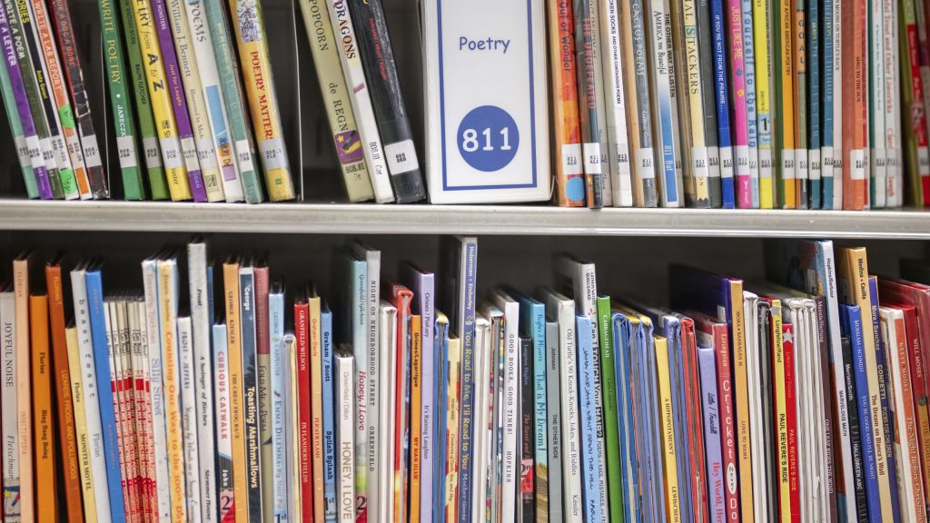 Calgary's Haskayne Legacy Park opening Sept. 16 | CityNews Calgary